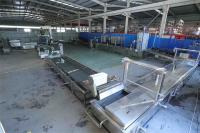 China Electric Electromagnetism Gas Heating Complete Food Industry Chips Making Machine for sale