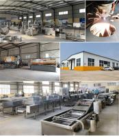 China 3500KG Potato Chips Making Machine 15KW 380V High Productivity for sale