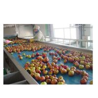 China Fruit Juice Filling Production Line Processed fruit mango pulp juice extraction Machine production line for sale