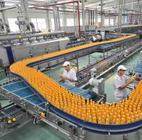 China Automatic Complete Small Scale Mini Mango Orange Juicer Fruit Juice factory orange production line for sale