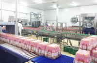China Automatic Commercial Coconut Milk Mango Juice Production Line 220V for sale