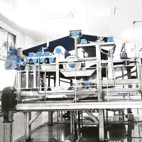 China 2000KG Seedless Mango Juice Processing Plant Automatic 75kw for sale
