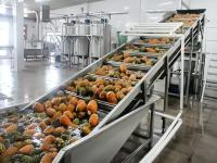 China Fully Automatic Fruit Juice Manufacturing Plant Stainless Steel Material for sale