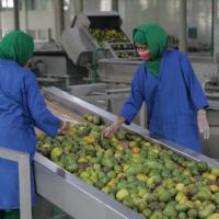 China Industrial Apple Juice Processing Line 380V Orange Juice Production Line for sale