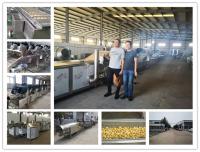 China Small Scale French Fries Machine Potato Chips Making Machine PriceHigh Efficiency Potato Chips Line potato chips production line for sale