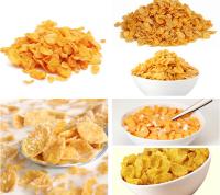 China Automatic Corn Puff Production Line 4500KG 100-500kg/h Stainless Steel Material for sale