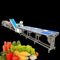 China Industrial Fruit Vegetable Processing Machine Automatic 400KG  300-1000kg/h for sale