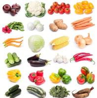 China Industry Ultrasonic Fruit Processing Line For Vegetable Washing for sale