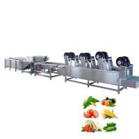 China 300-1000kg/h Vegetables Fruit Washing Machine 304 Stainless Steel for sale