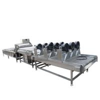 China 300-1000kg/h Vegetables Fruit Washing Machine 304 Stainless Steel for sale