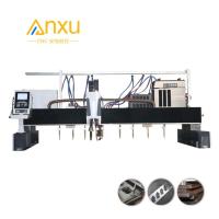 China Fully Automatic Gantry Flame Cutting Machine Multi Head  Aluminium Sheet Plate Plasma Cutting Machine for sale