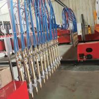China Fully Automatic Gantry Flame Cutting Machine Multi Head  Aluminium Sheet Plate Plasma Cutting Machine for sale