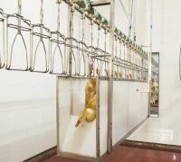 China 7.5KW Poultry Slaughtering Line Automatic HJ-TSSB 2480*1340*1480mm for sale