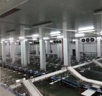 China ISO9001 CE Full Automatic Poultry Slaughtering Line Automatic Chicken Slaughtering Line for sale