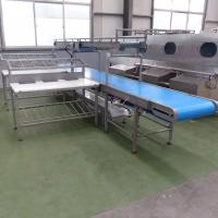 China ISO9001 CE Full Automatic Poultry Slaughtering Line Automatic Chicken Slaughtering Line for sale