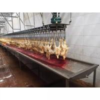 China Chicken Duck Goose Poultry Slaughtering Line High Efficiency Stainless Steel 304 for sale