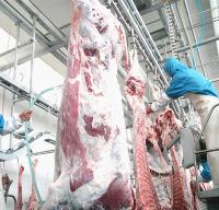 China Sterilization Food Grade Slaughterhouse Cow Machine High Efficiency Cow Processing Machine for sale