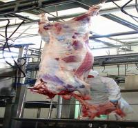 China Customized  7.5KW Slaughterhouse Cow Machine Automatic Cow Slaughtering Machine for sale