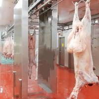 China 304 Stainless Steel  Slaughterhouse Cow Machine 2480*1340*1480mm for sale