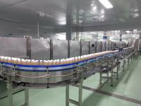 China Professional Mini Meatball Ball Fish Ball Forming Machine Stainless Steel for sale