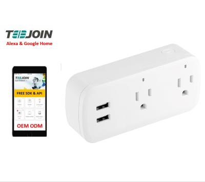 China Teejoin USA Wifi Socket Smart Plug Dual USB Control Switch Smart Socket Dual USB Residential/Multi-Purpose Electric Power Wall for sale
