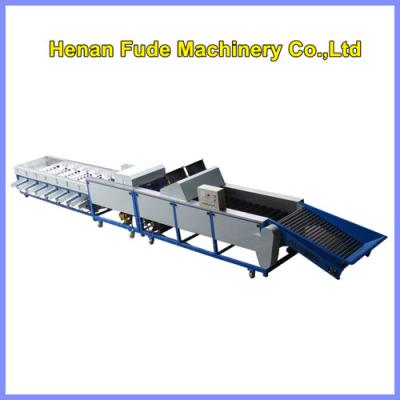China mango sorting machine, mango grading machine for sale