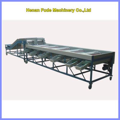 China Garlic grading machine for sale