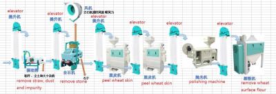 China Wheat processing line,wheat peeling machine for sale