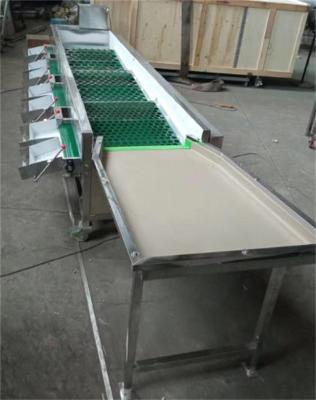 China tomatoes sorting machine, tomatoes grading machine, tomato grader sorter for sale