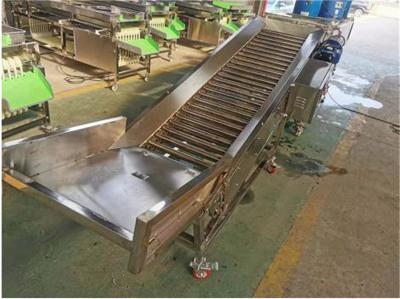 China sweet potato grading machine, sweet potato cleaning sorting machine for sale