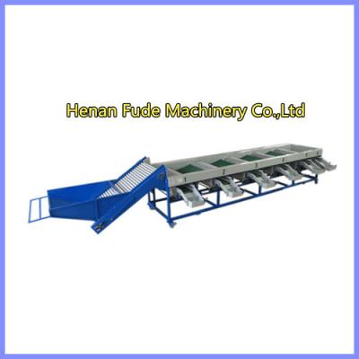 China garlic sorter, garlic grader, garlic sorting machine, garlic grading machine for sale