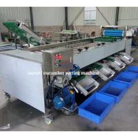 China Carrot Sorting Machine, Carrot Grading Machine, Carrot Calibration for sale
