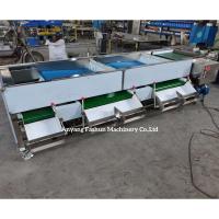 China Olive Sorting Machine, Olive Grading Machine, Olive Grader Sorter for sale