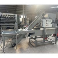 China Pine Nut Shelling Machine, Pine Nut Hulling Machine, Pine Nut Cracking Machine for sale