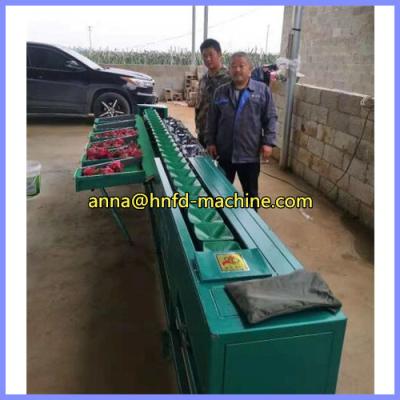 China small orange grading machine, potato grading machine,tomato grading machine for sale