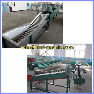 China orange washing , fan drying and grading machine,apple cleaning sorting machine for sale