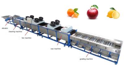 China apple cleaning, fan drying, waxing, grading machine, apple sorting machine for sale