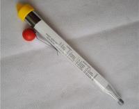 China Transparent Glass Candy Thermometer , Jelly Making Candy Oil Thermometer For Home DIY for sale