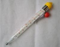 China Transparent Glass Candy Thermometer , Jelly Making Candy Oil Thermometer For Home DIY for sale