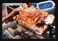 China Blue Kitchen Digital Food Thermometer / Waterproof Cooking Food Thermometer for sale
