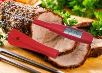 China Stainless Steel Long Probe Digital Thermometer -50 to 300°C for Chocolate Making with Silicone Spatula for sale