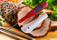 China ABS Plastic Case Candy Deep Fry Thermometer Stainless Steel Probe Thermometer for sale