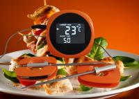 China Household Bluetooth Food Thermometer Instant Read Meat Thermometer Digital Type for sale