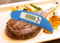 China Instant Read Meat Grilling Thermometer For Outdoor Barbecue Eco - Friendly for sale