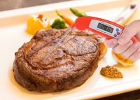 China Instant Read Meat Grilling Thermometer For Outdoor Barbecue Eco - Friendly for sale