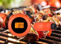 China Bluetooth Wireless Food Thermometer with 2 Probes 100m Range 662°F for sale