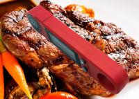 China Food Grade ABS Plastic Instant Read Meat Thermometer Battery Operated for sale