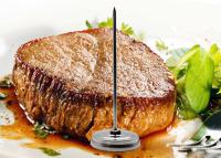 China Durable Oven Safe Instant Read Thermometer Meat Cooking Thermometer FDA for sale