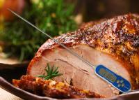China High Accuracy ABS Plastic Housing Easy Calibration Digital food Thermometer for sale