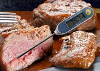 China Small Food Service Thermometer Instant Temperature Thermometer For Kitchen / Grill for sale